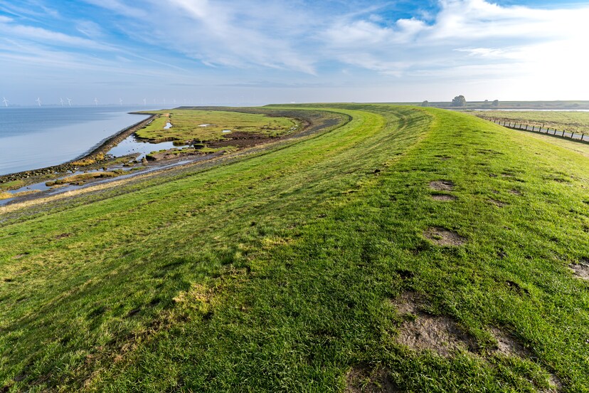 Tijd voor een herfstwandeling: uitwaaien tussen Dollard en Delfzijl | Trouw