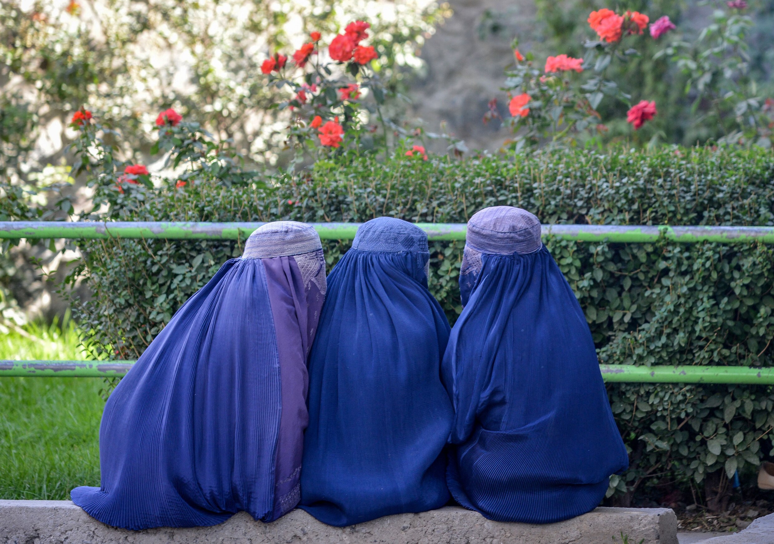 Terugsturen van Afghaanse vrouwen naar Taliban ‘nieuw dieptepunt’ | Trouw