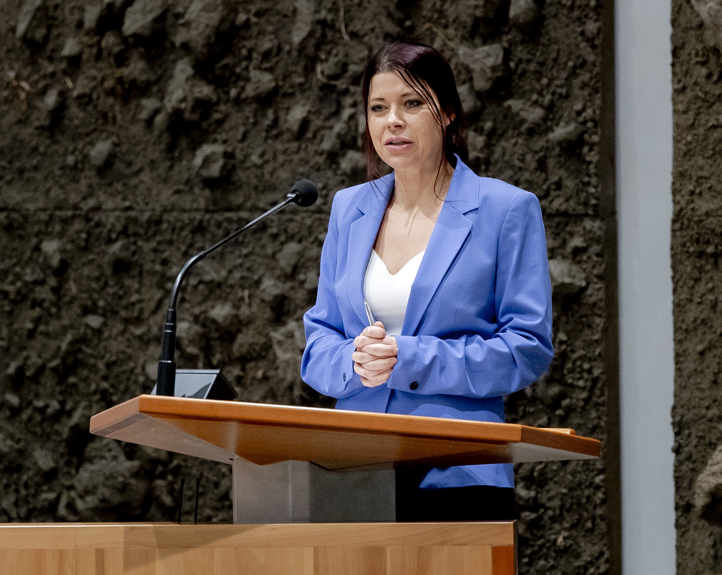 Gezocht: idealistische verbinder die GroenLinks-PvdA aantrekkelijk ...