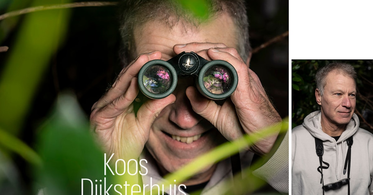 Nachtvlinders met klassieke belettering | Trouw