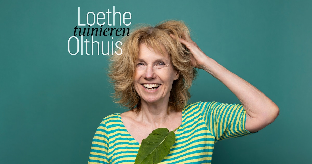 Zaai en plant nu je groenten en kruiden: Loethe zet de voordelen op een ...