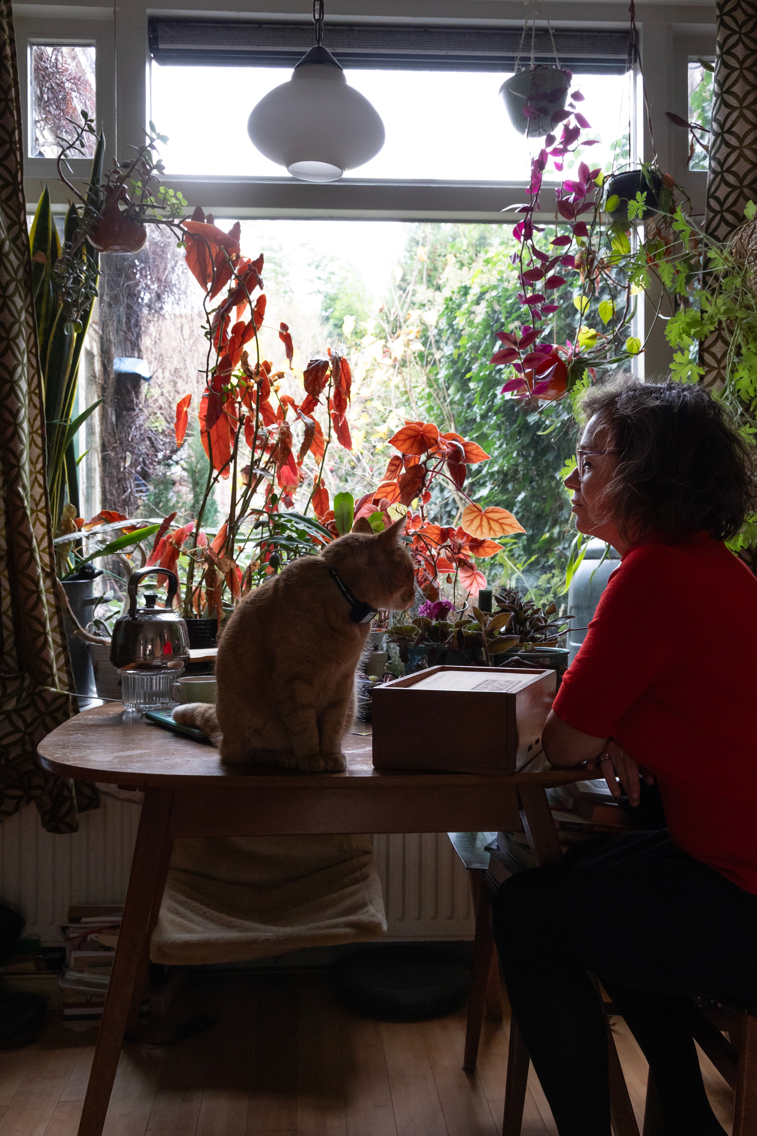 Vrouwkje Tuinman schreef een roman over Jan Mieremet, de man die joeg ...