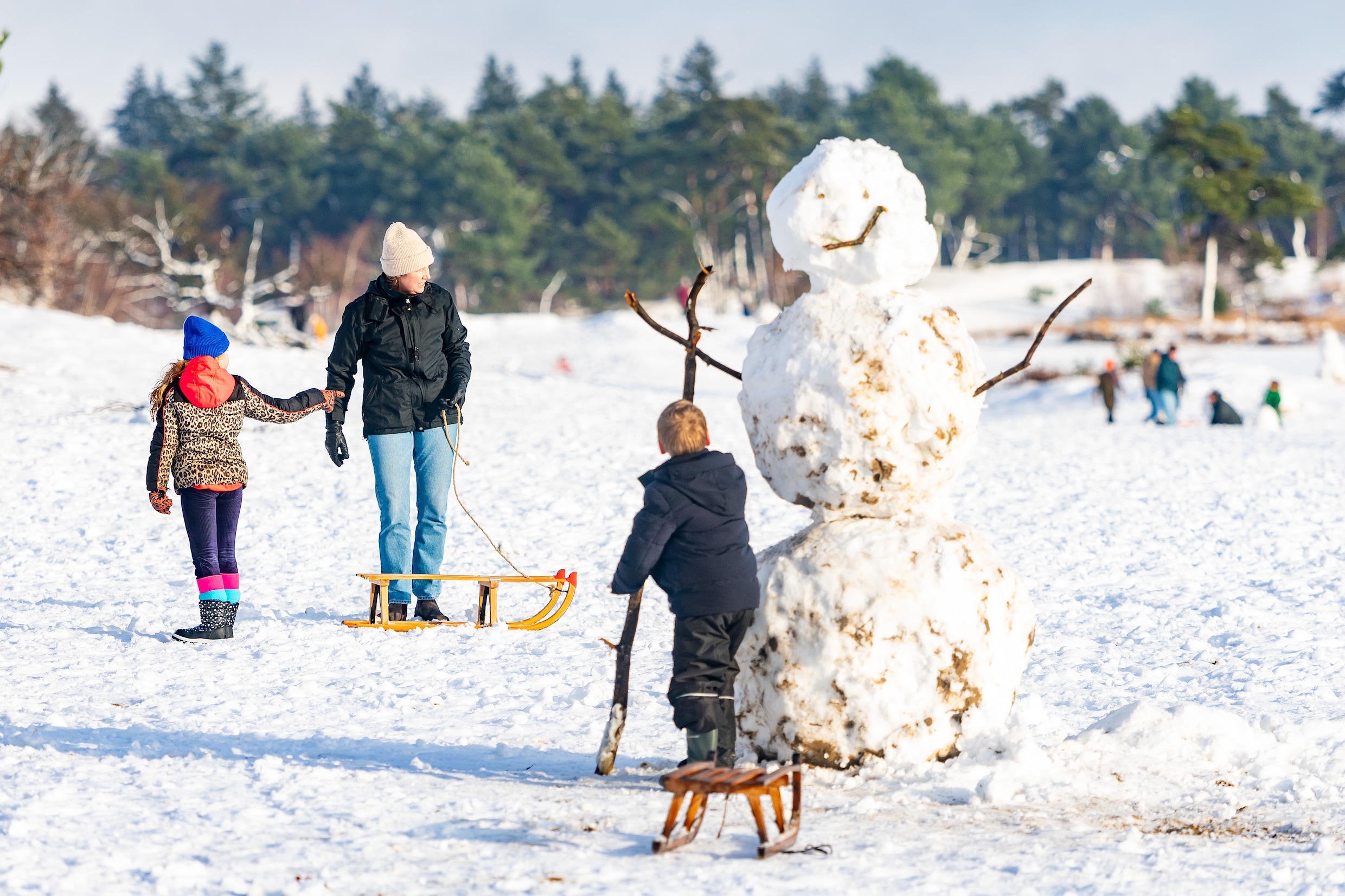 In Staphorst staat straks misschien wel de grootste sneeuwpop van Nederland. ‘Zoeken nog ...