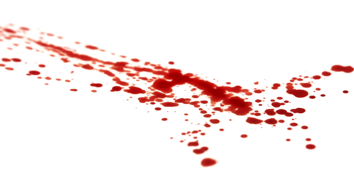 De zaak die Nederland in zijn greep hield: wie vermoordde weduwe ...