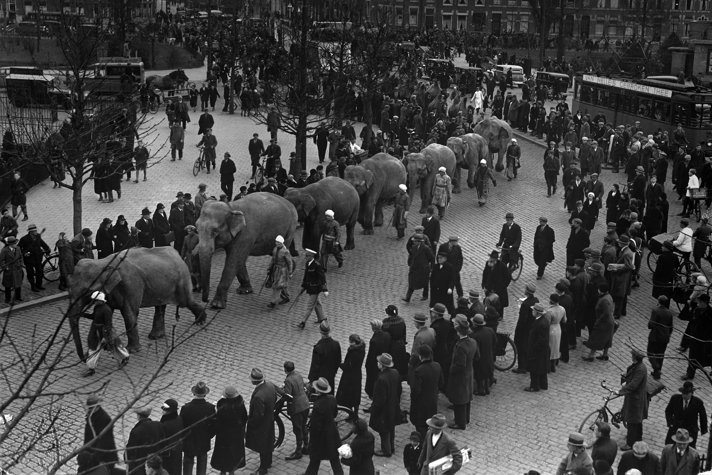 Circus Sarrasani hees 400 dieren op één boot | Trouw