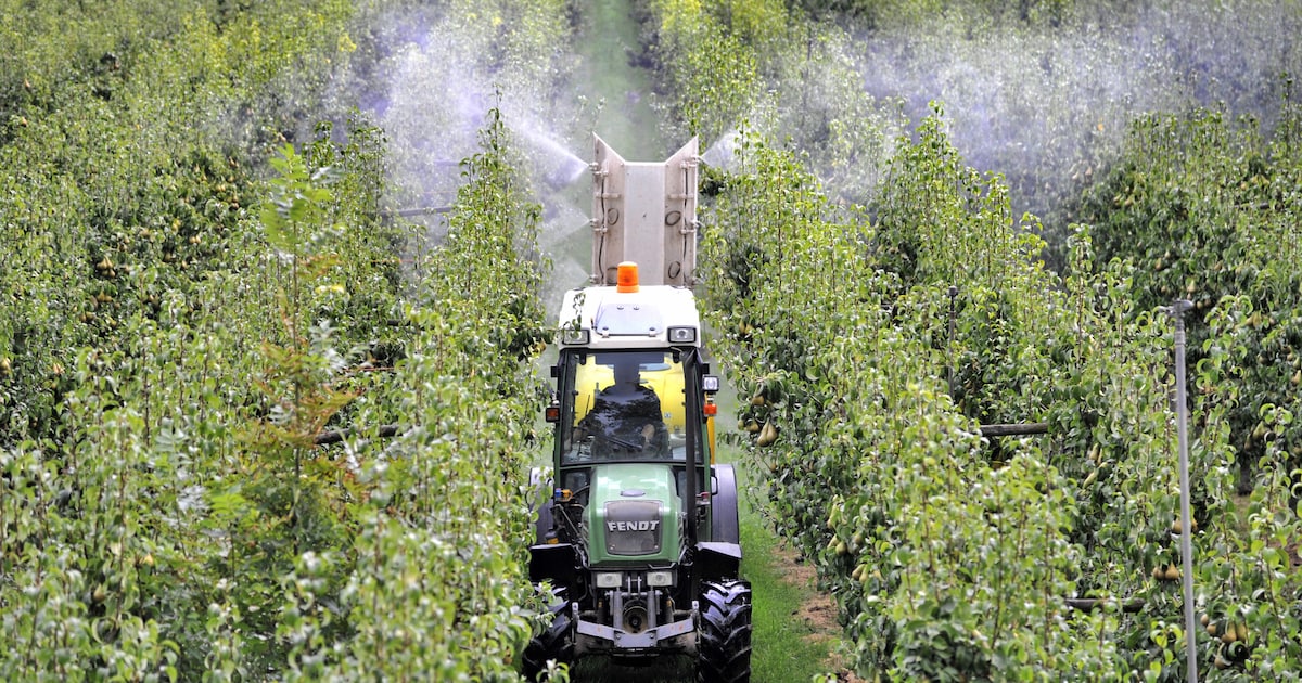 ‘Versimpeling regels voor pesticiden leidt juist tot meer bureaucratie ...