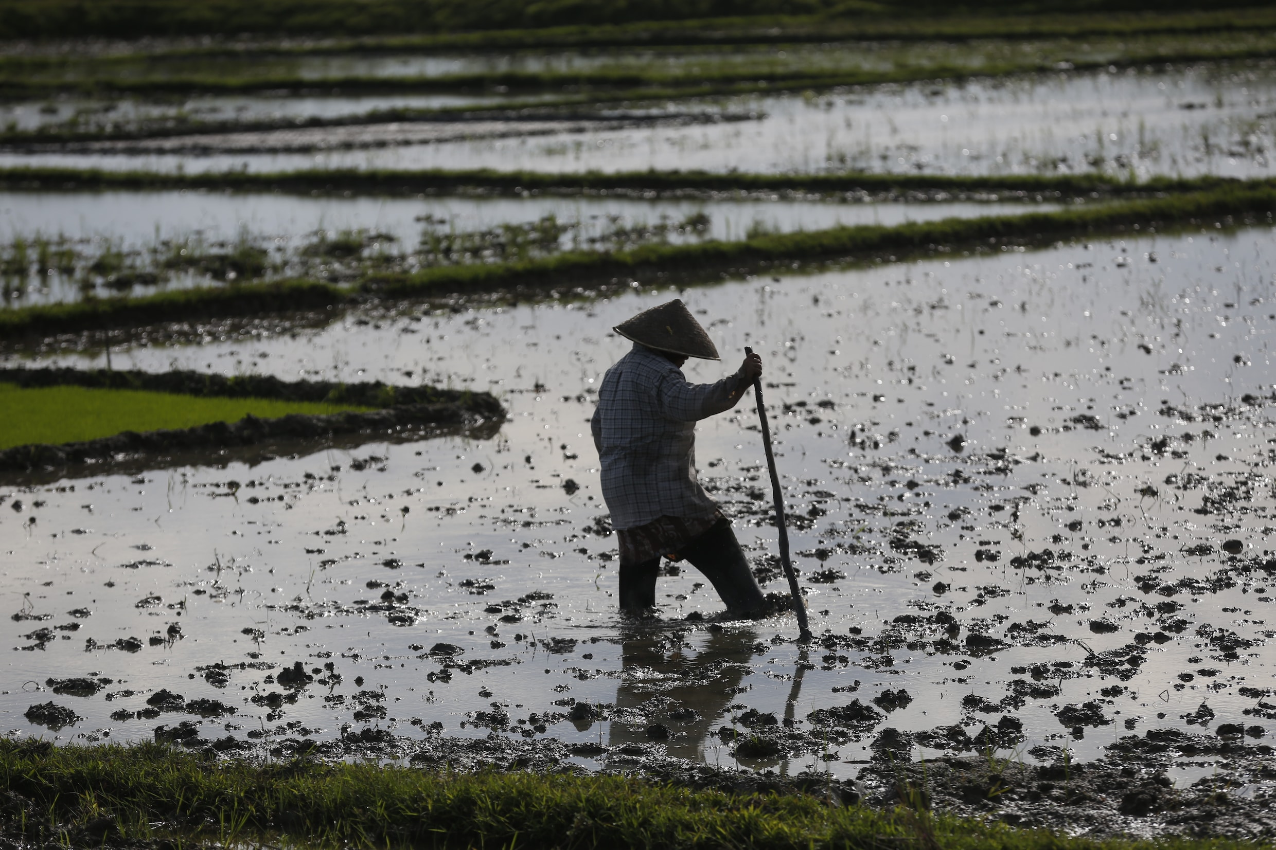 Live klimaat: El Niño begonnen volgens Japanse dienst, forse gevolgen ...