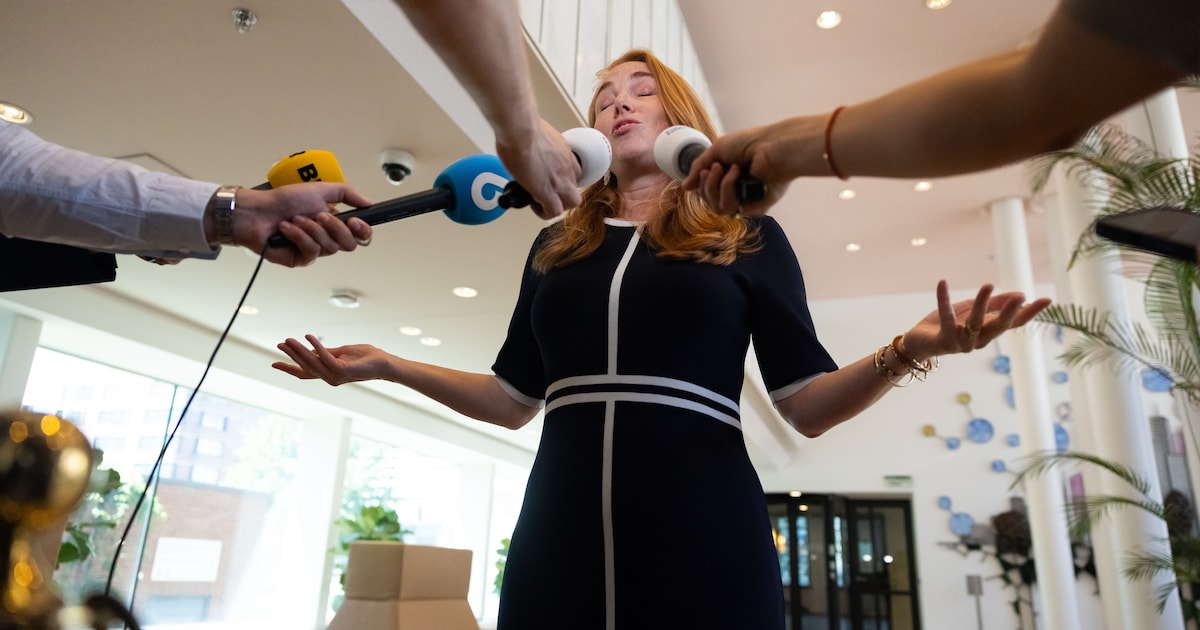 De Amerikaanse overname van het bedrijf achter DigiD blokkeren, is een ...
