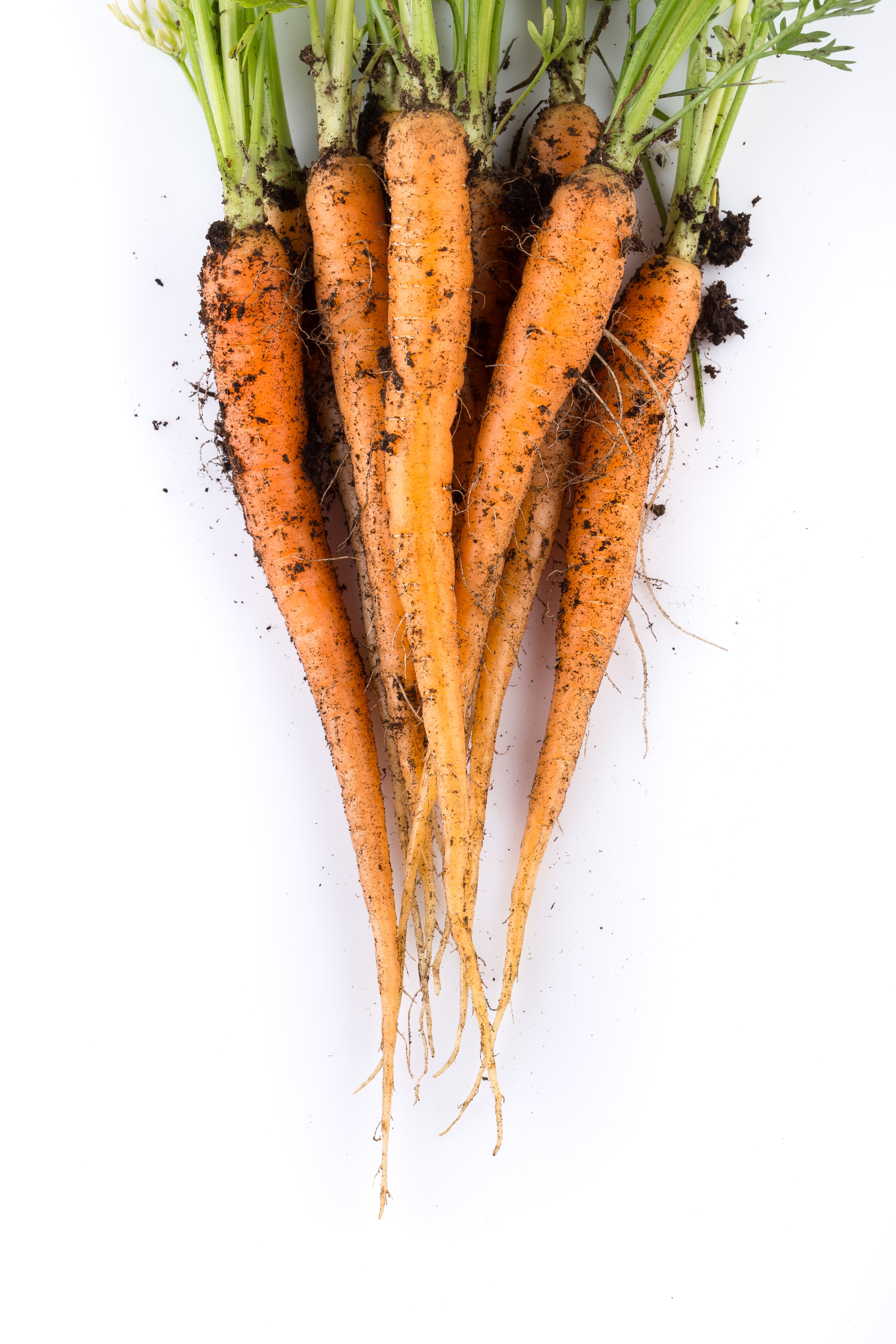 Is biologisch eten écht gezonder voor je? We blijken vooral nog veel ...