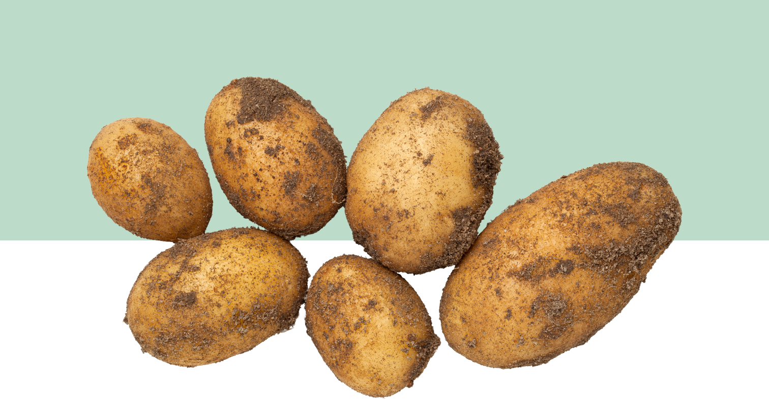 Is biologisch eten écht gezonder voor je? We blijken vooral nog veel ...