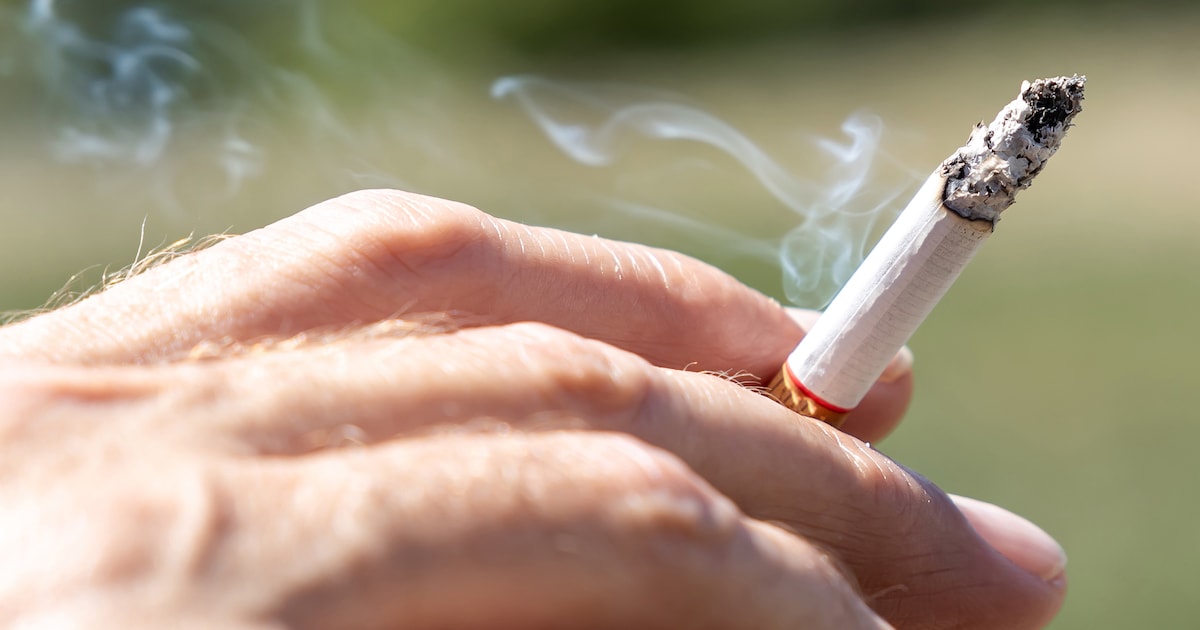 AI-tool van Philip Morris schrijft bezwaarteksten tegen tabakswetgeving ...