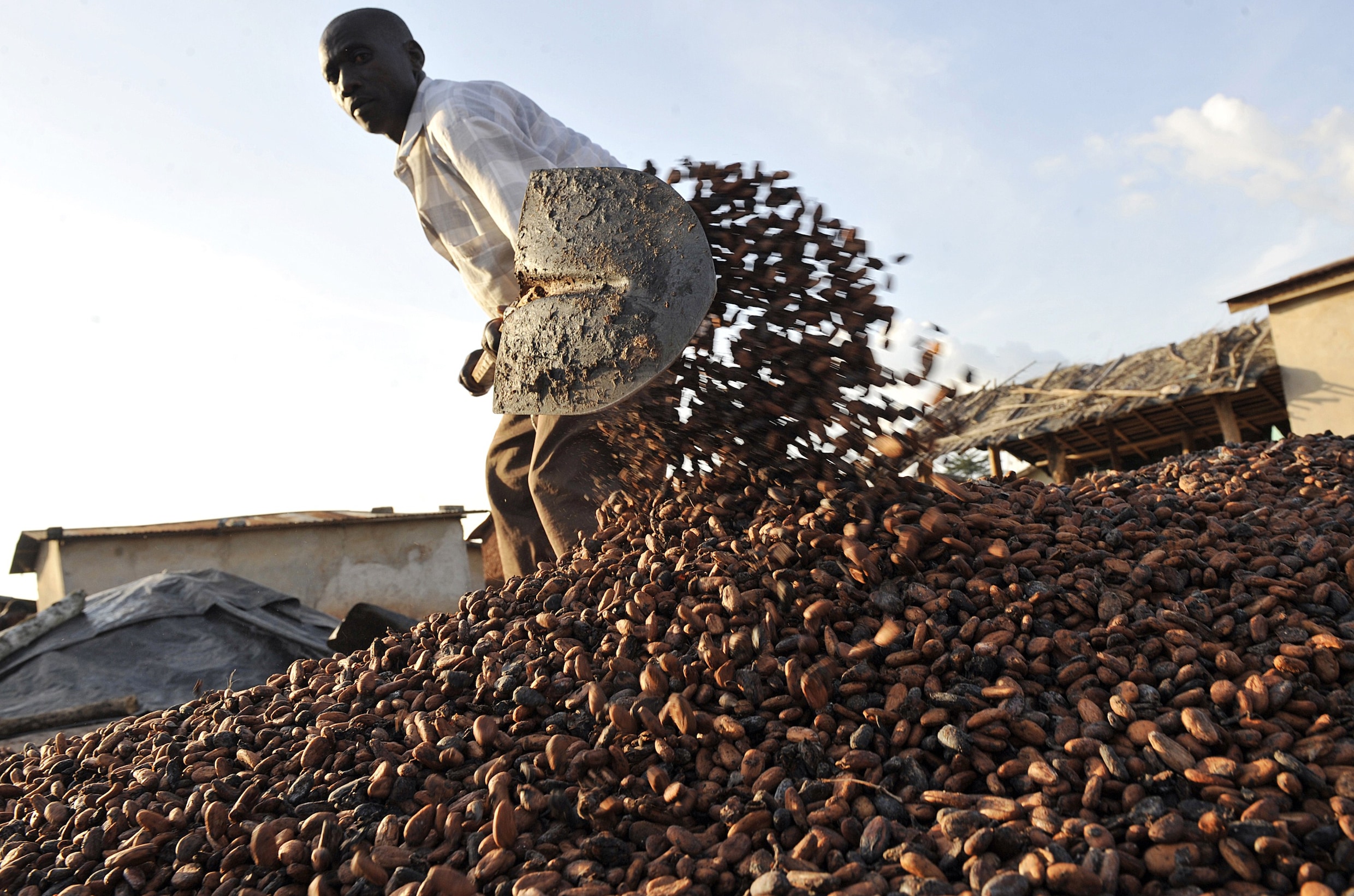 Cacaoboeren in Ivoorkust die Zwitserse chocolade eten? Dat moet anders ...