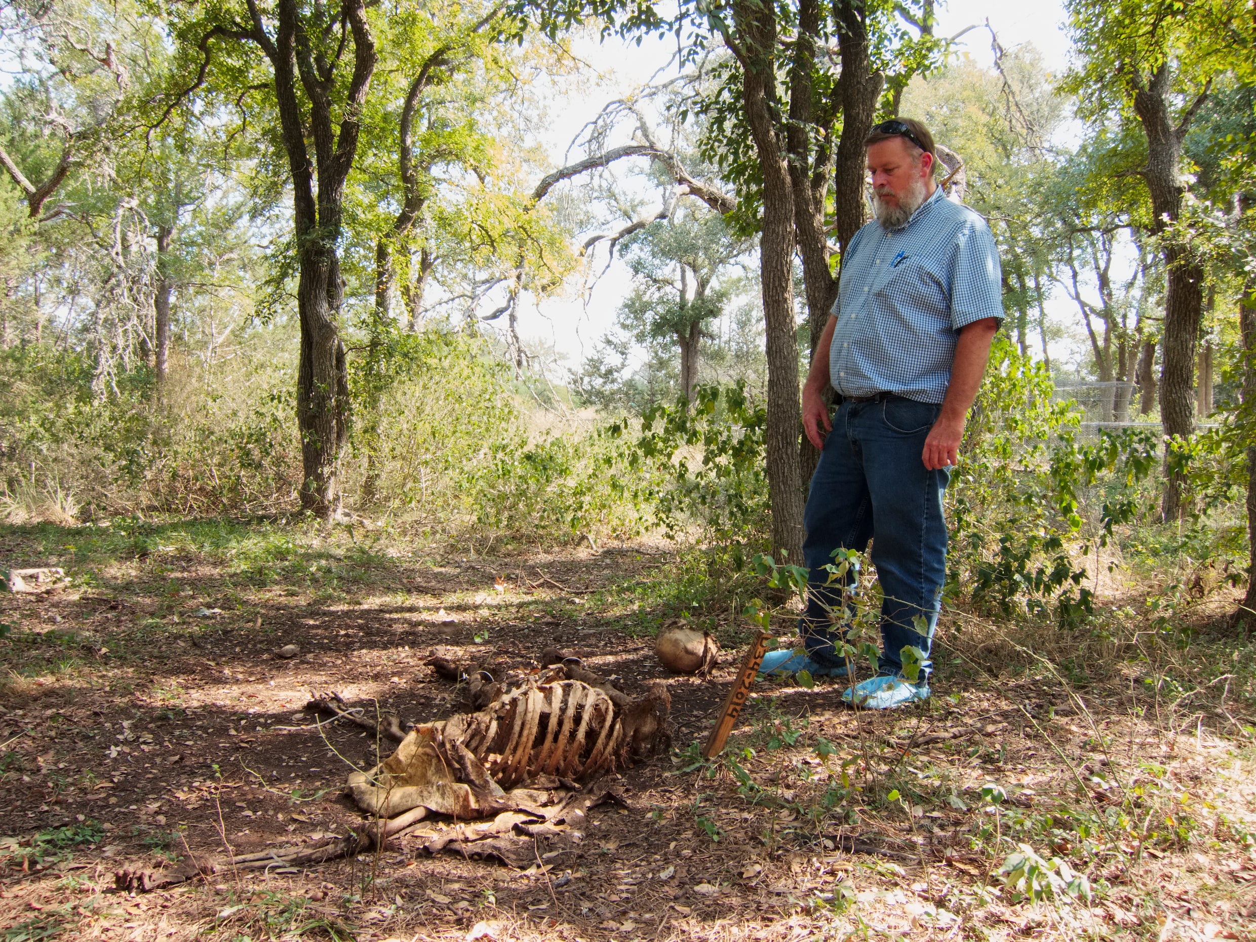 Dit lijkenveldje in Amsterdam biedt een schat aan informatie voor ...