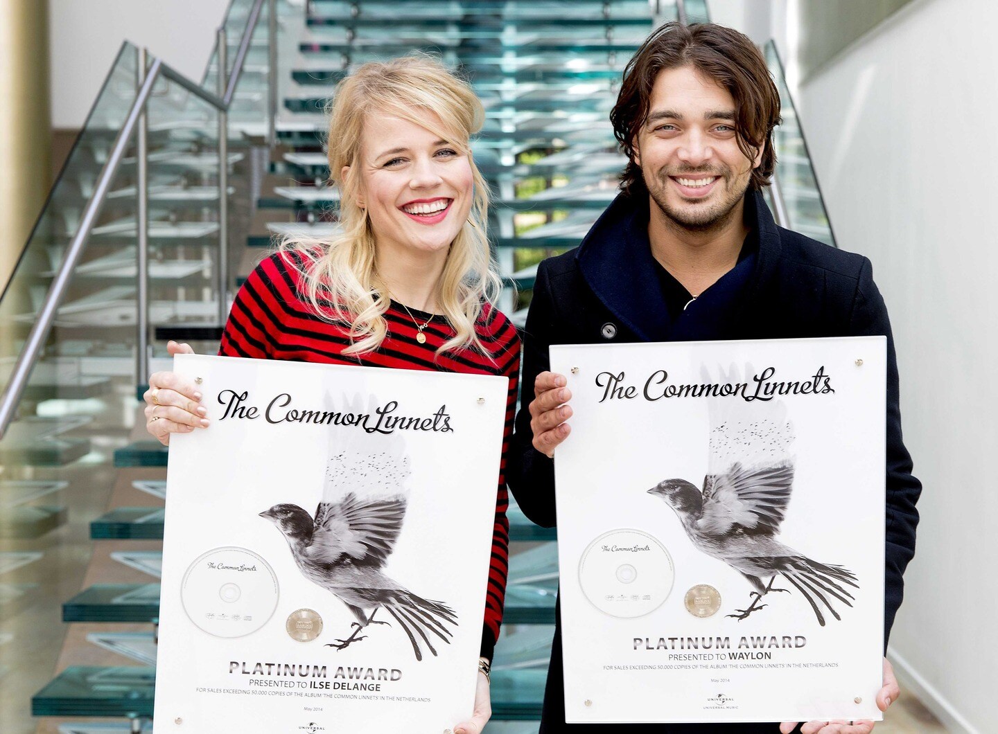 Common Linnets schrijven hitgeschiedenis | Trouw