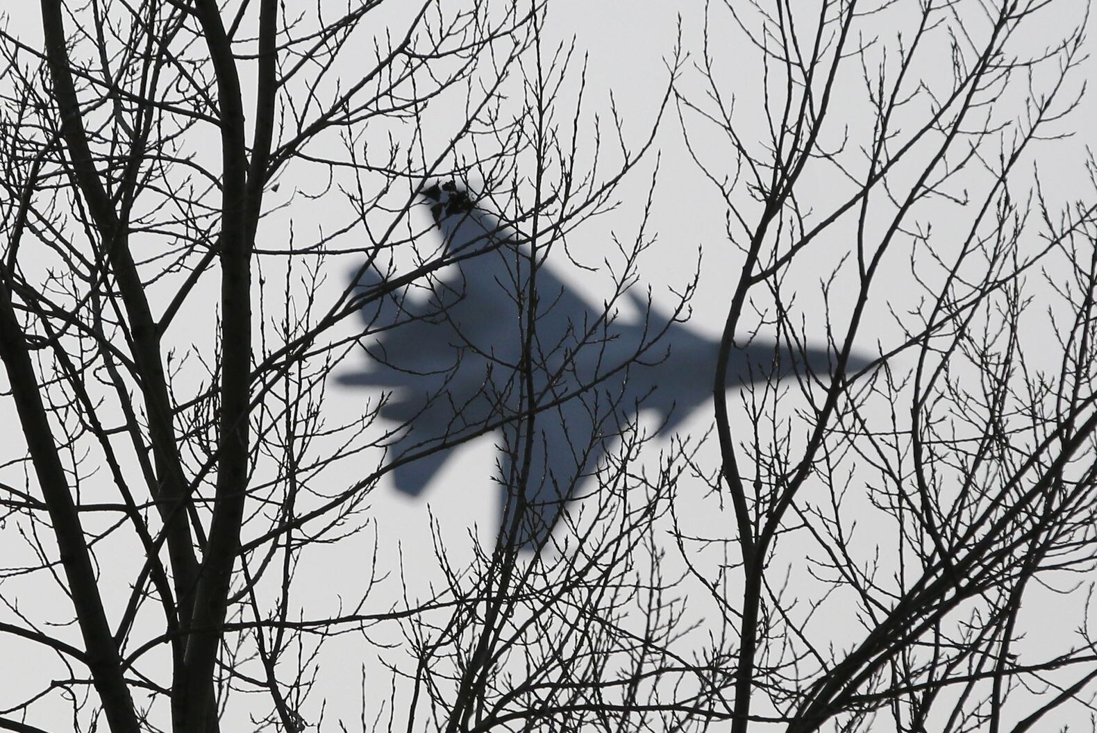 NAVO ziet 'ongebruikelijk' veel luchtactiviteit Rusland | Trouw