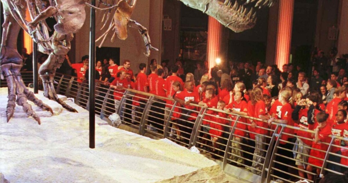 Opgraving T-rex voltooid | Trouw