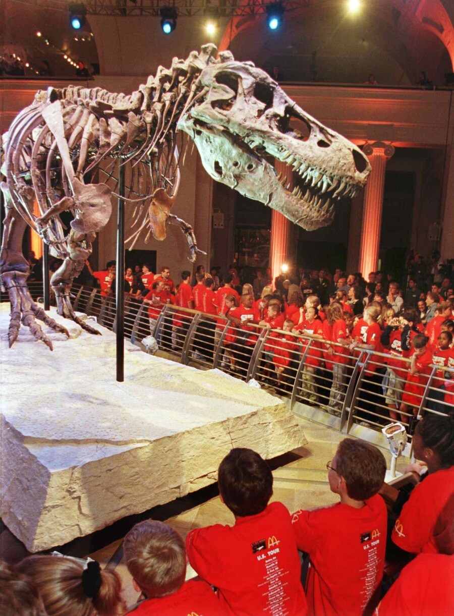 Opgraving T-rex voltooid | Trouw