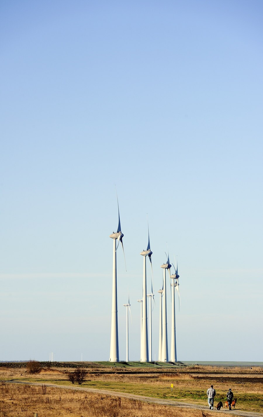 Met de kop in de wind | Trouw