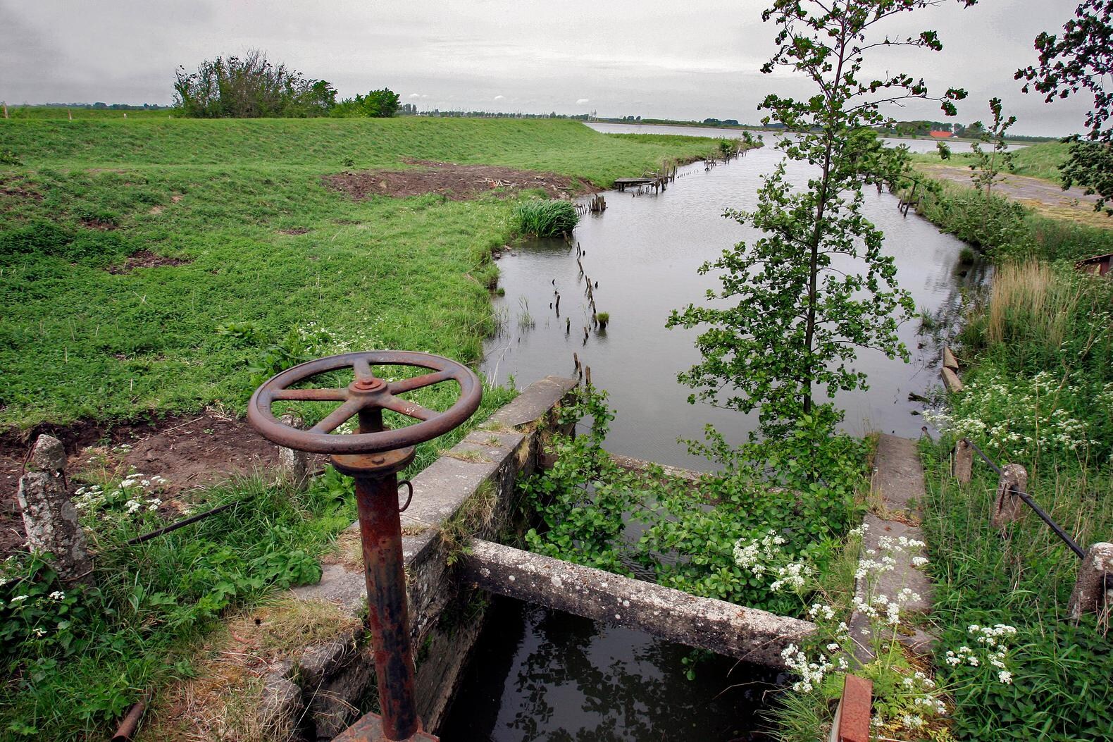 De sloot barst stiekem van de schone energie | Trouw