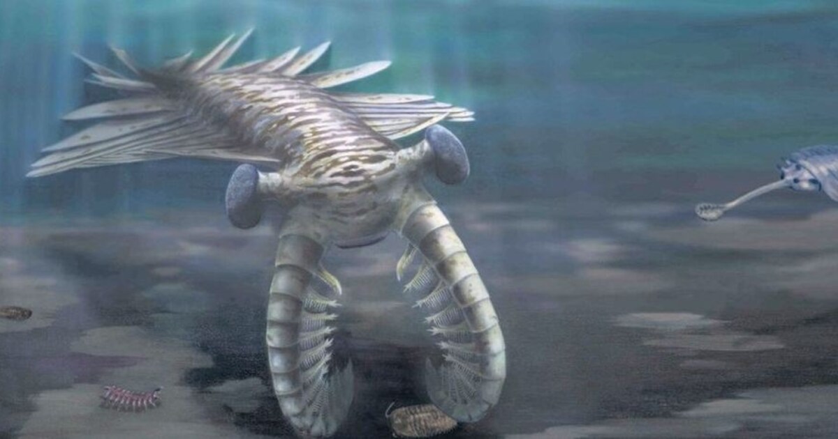 Biologen nemen met oplossing voor Darwin Dilemma creationisten wind uit ...