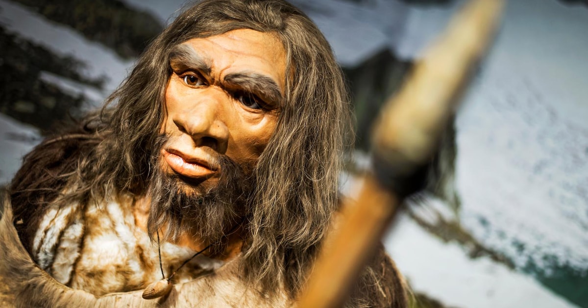 De Neanderthaler gebruikte al aspirine en penicilline | Trouw