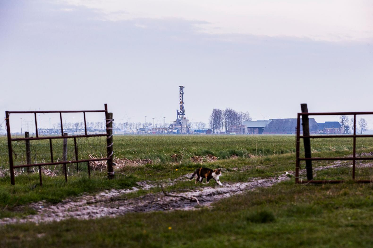 Straks geen gas meer thuis. Wat dan? | Trouw